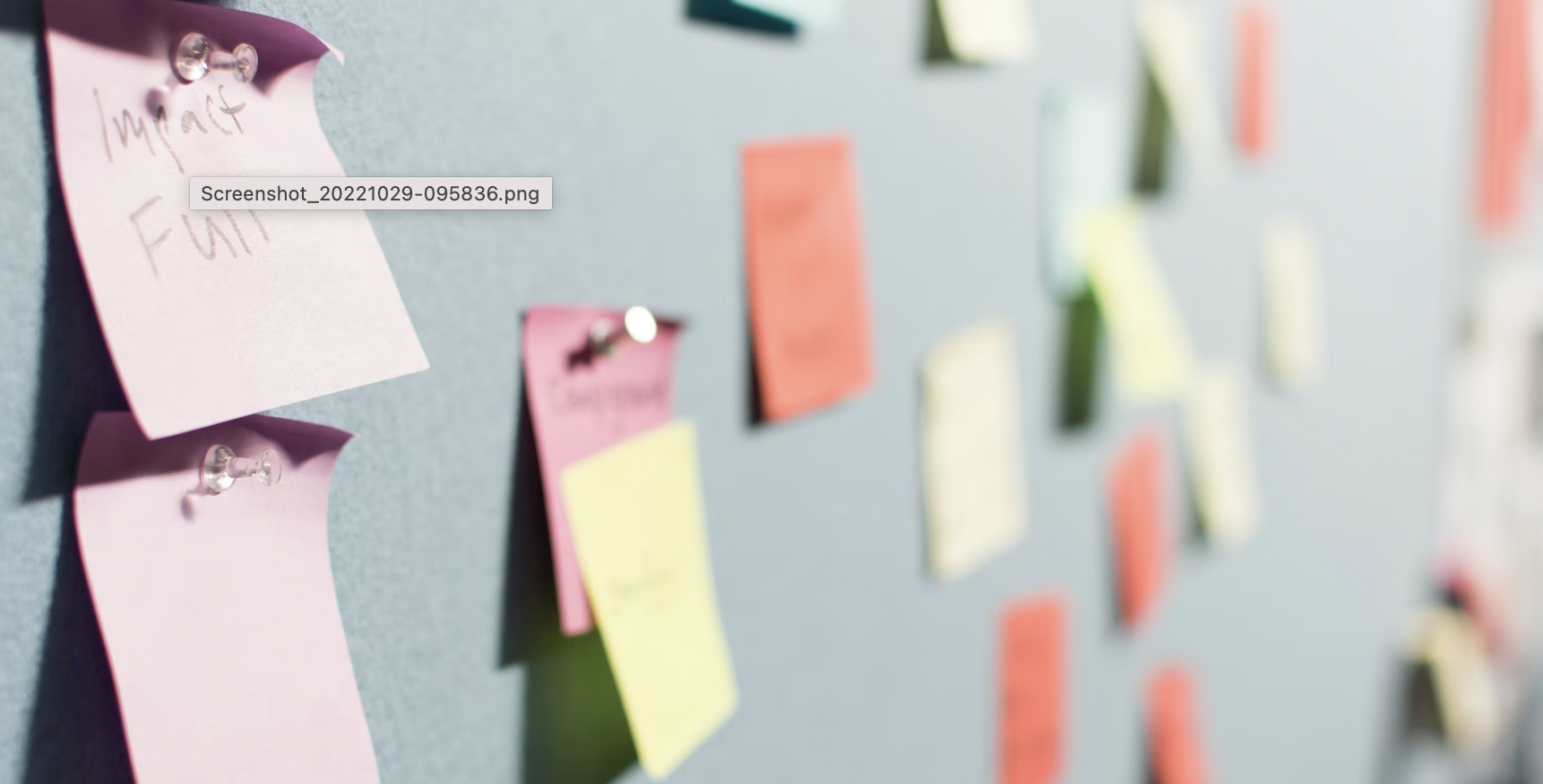 What Are Long-Term Goals? Examples and Goal-Setting Ideas