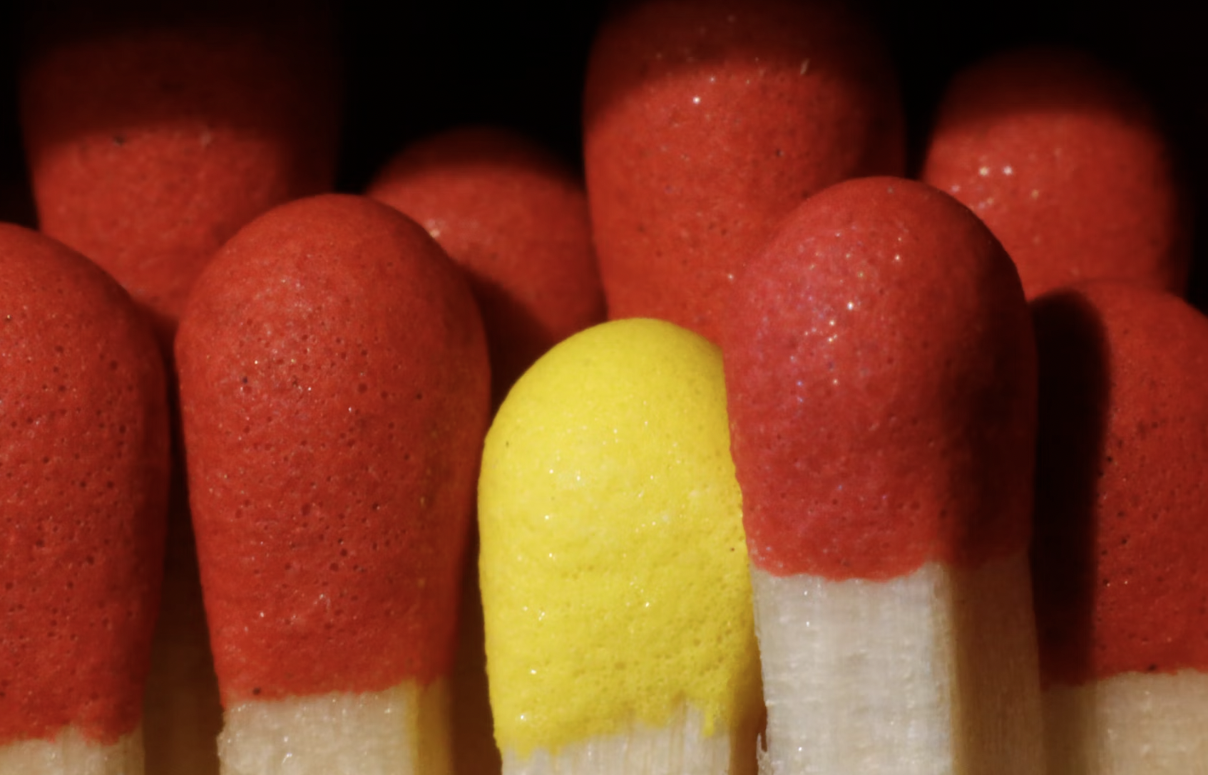 What Is the Buddy System? Intro to Workplace Buddy Systems